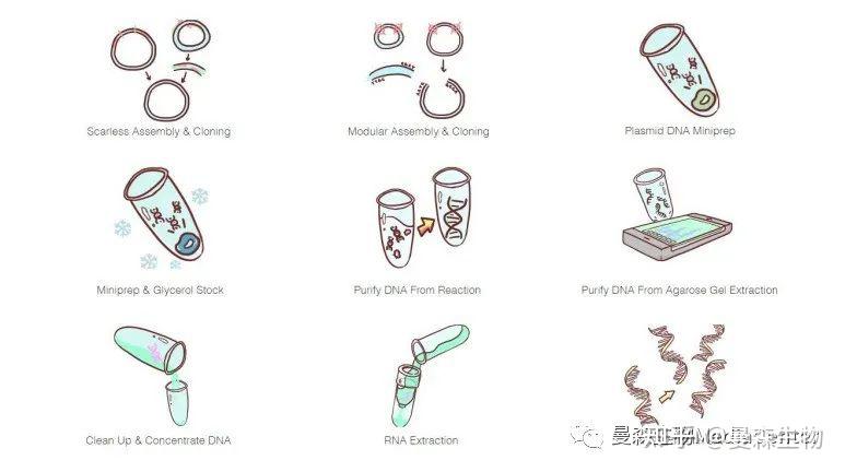 合成生物技术的新基建 | biofoundry(生物铸造厂)——Agile Biofoundry、DAMP Lab - 知乎