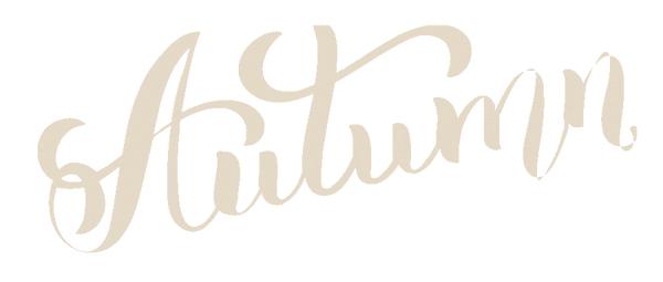 2025年最新教育类EI会议&CPCI会议推荐-检索稳定 - 知乎