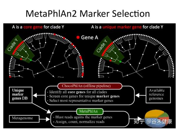 多快好省的宏基因组研究技巧 — 资深专家分享 - 知乎