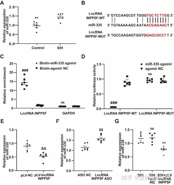 CNSNT︱上海大学杜东书团队发现：延髓头端腹外侧区lncRNA INPP5F通过miR-335/Cttn轴调控应激性高血压机制 - 知乎