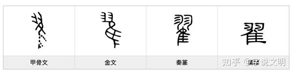 翟——每日一字·隹部字 知乎