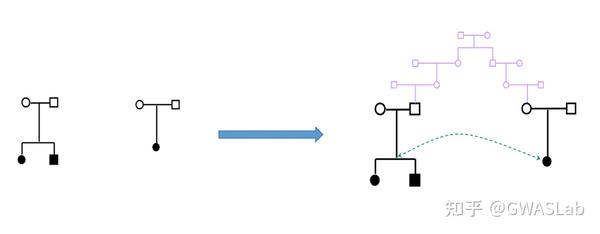 GWAS的线性混合模型LMM Linear Mixed Model - 知乎