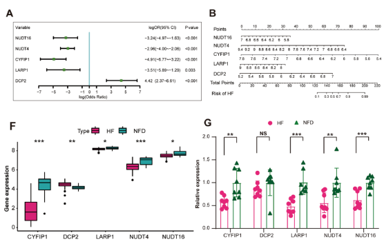 RNA甲基化做实验太难？来做生信呀！m7G非肿瘤诊断模型构建+二次聚类分型分析=7分+，性价比绝绝子！基因集已备好,就等你复现 - 知乎