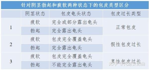 如何判断包皮过长?区分阴茎疲软和勃起状态 知乎