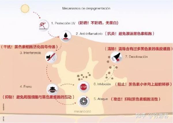 医学生都选择用什么美白？ 知乎