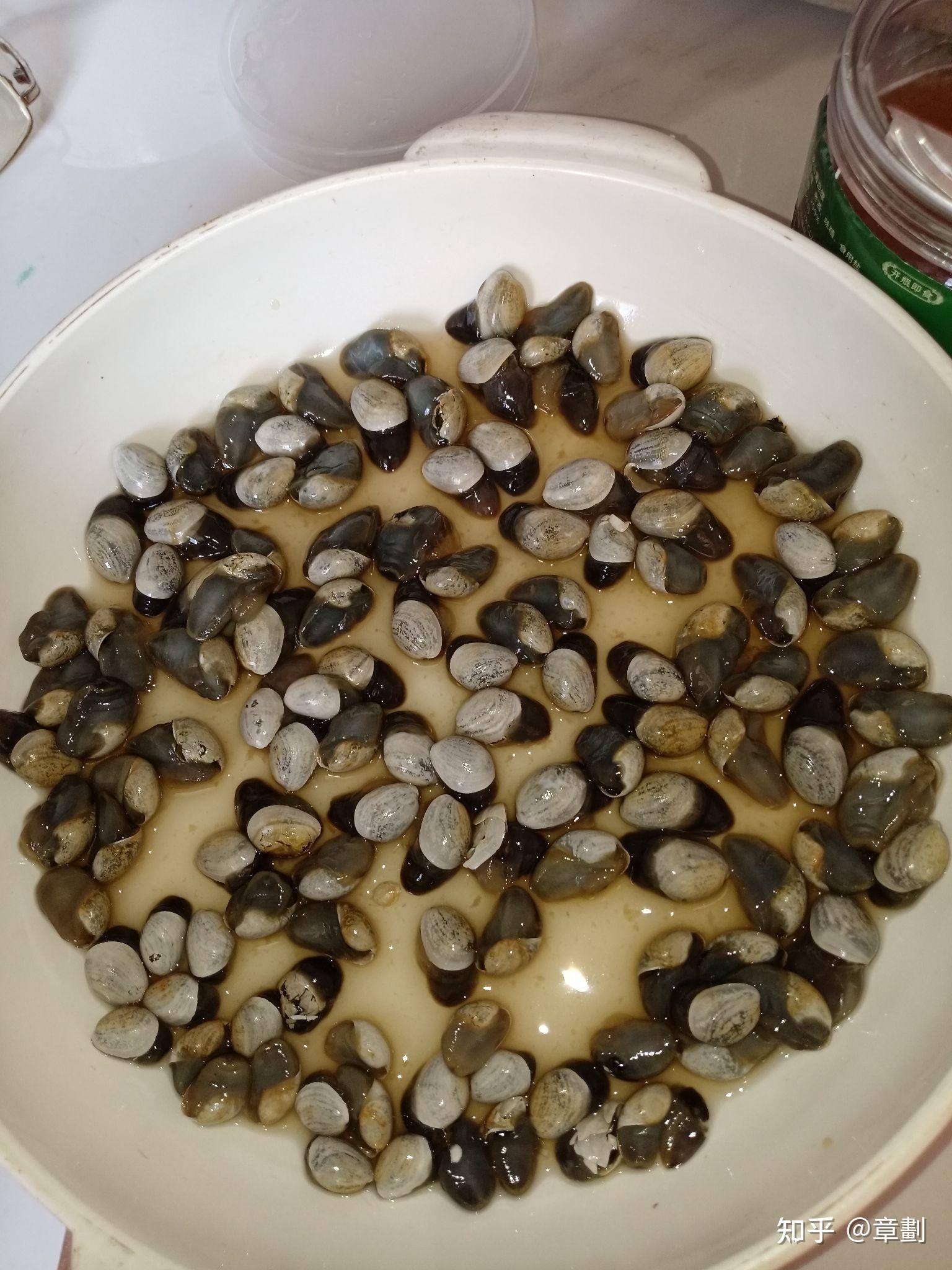 尝鲜黄泥螺的思考 - 知乎