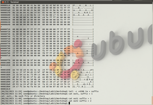 漏洞分析 Lab13 MD5 Collision Attack Lab - 知乎
