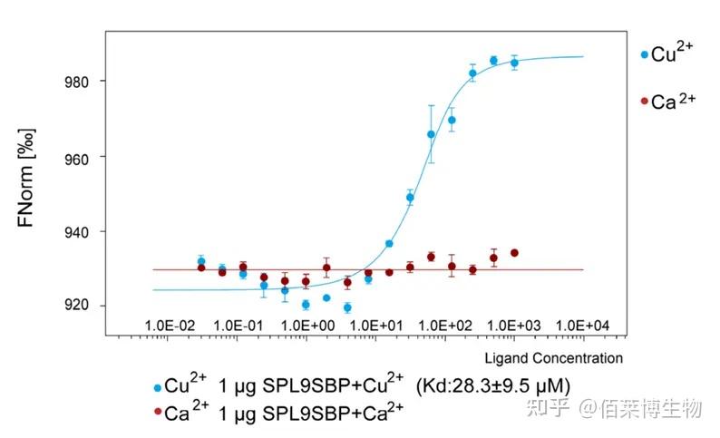 MST实验案例：检测蛋白与离子相互作用 - 知乎