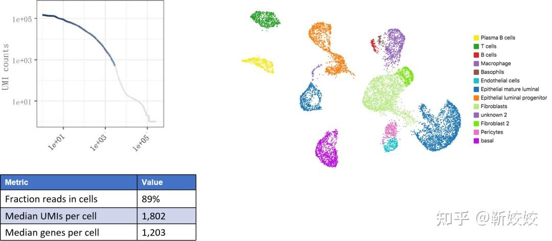 单细胞+空间 | 3种技术助力解锁FFPE样本中的新世界！ - 知乎