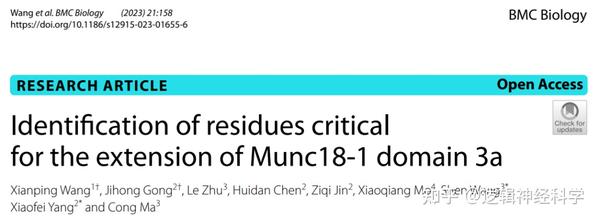 BMC Biol︱阳小飞/马聪团队阐述Munc18-1结构域3a特异氨基酸对其调控SNARE复合物组装和突触囊泡分泌的重要意义 - 知乎