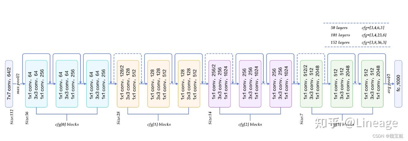 【PyTorch深度学习项目实战100例】—— 基于ResNet18实现昆虫分类任务 | 第23例 - 知乎