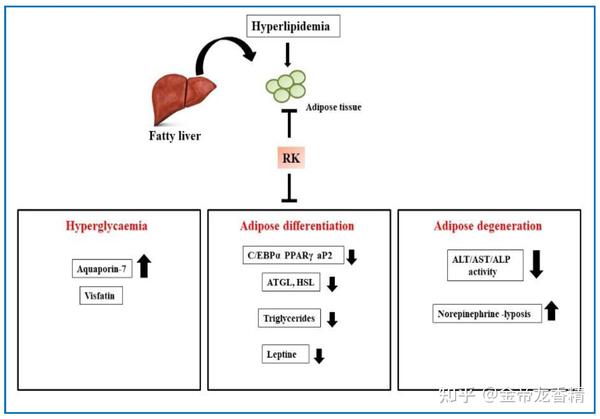 香精与香料(71)—覆盆子酮(Raspberry ketone) - 知乎