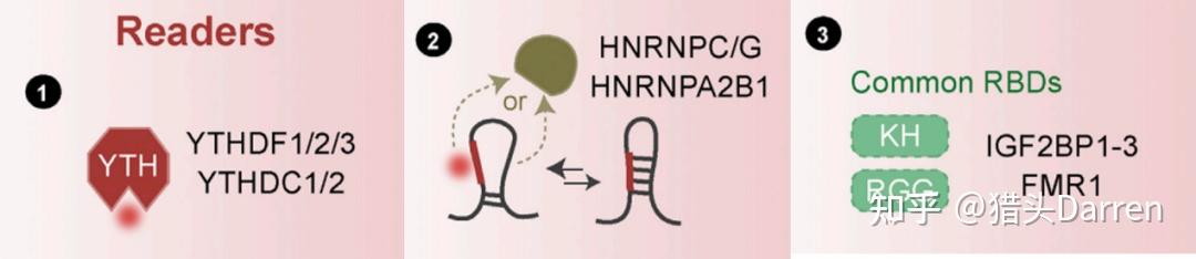 你似乎来到了没有知识存在的荒原 - 知乎