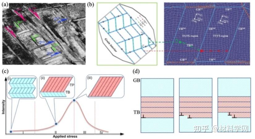 重磅！南洋理工大学顶刊综述《PMS》：梯度结构金属和合金的研究进展！ - 知乎