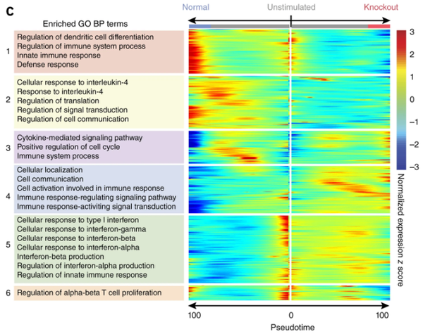 单细胞分析实录(15): 基于monocle2的拟时序分析 - 知乎