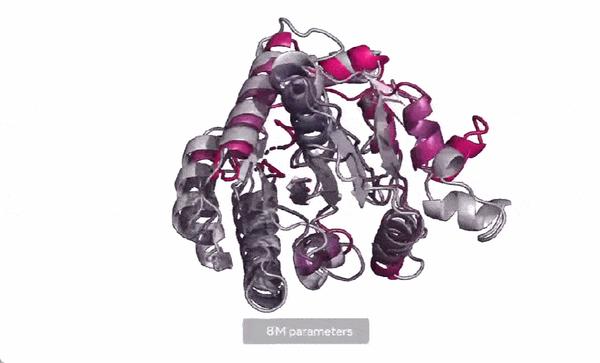 世界首个！Meta AI开放6亿+宏基因组蛋白质结构图谱，150亿语言模型用两周完成 - 知乎