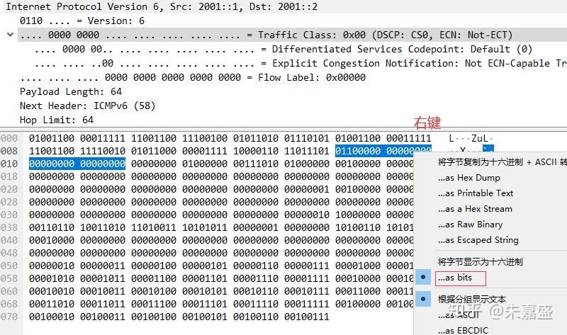 网络工程师之IPv6（第2节，IPv6 基本报头） - 知乎