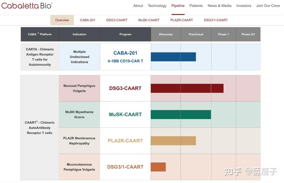 Nature Biotechnology丨用嵌合自身抗体受体T细胞精准靶向肌肉特异性酪氨酸激酶重症肌无力中的自身抗原特异性B细胞 - 知乎