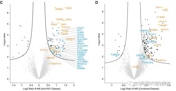 Ggplot2 火山图 