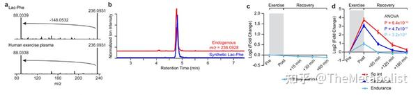 代谢学人——Nature: 运动诱导Lac-Phe，让你吃得少又苗条 - 知乎