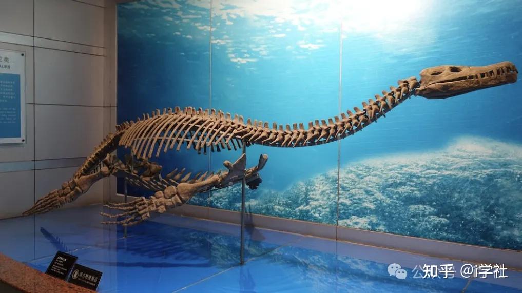 来，带你逛逛“离子通道博物馆” | 《神经科学原理》第十章：动作电位 - 知乎