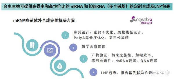 一文读懂mRNA疫苗体外合成关键技术 - 知乎