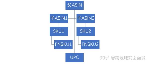 亚马逊ASIN，SKU，FNSKU，变体傻傻分不清？看这一篇文章就够了 - 知乎