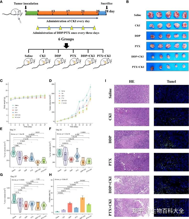 项目文章|单细胞RNA测序揭示复方苦参注射液通过调节乳腺癌肿瘤微环境协同提升化疗疗效 - 知乎