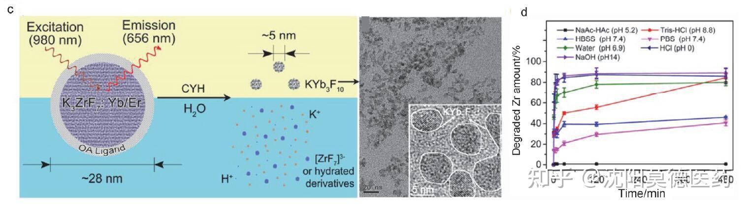 【近红外二区小动物活体荧光成像】稀土纳米荧光探针及其生物医学应用 - 知乎