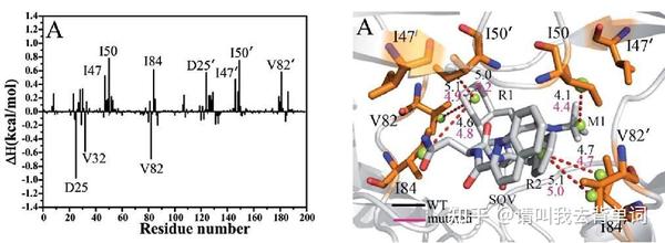 AMBER分子动力学能量优化与分析、结合自由能计算专题 - 知乎