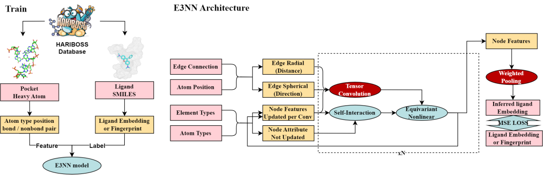 AI4S新进展 | 深势科技在NeurIPS 2022首次发布在靶向RNA小分子领域的最新成果 - 知乎