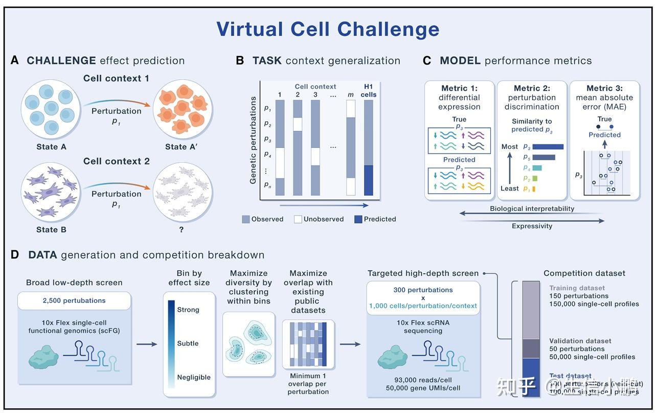 细胞建模“图灵测试”：解析学习虚拟细胞挑战赛 - 知乎