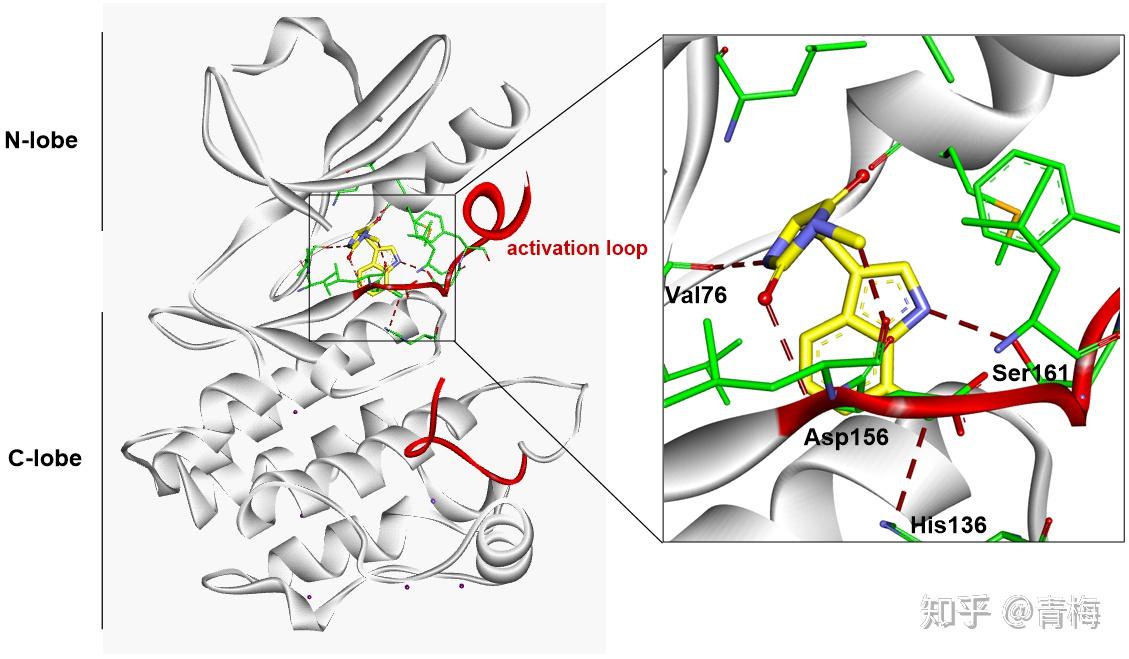 药物靶标：受体相互作用蛋白激酶1（RIPK1） - 知乎