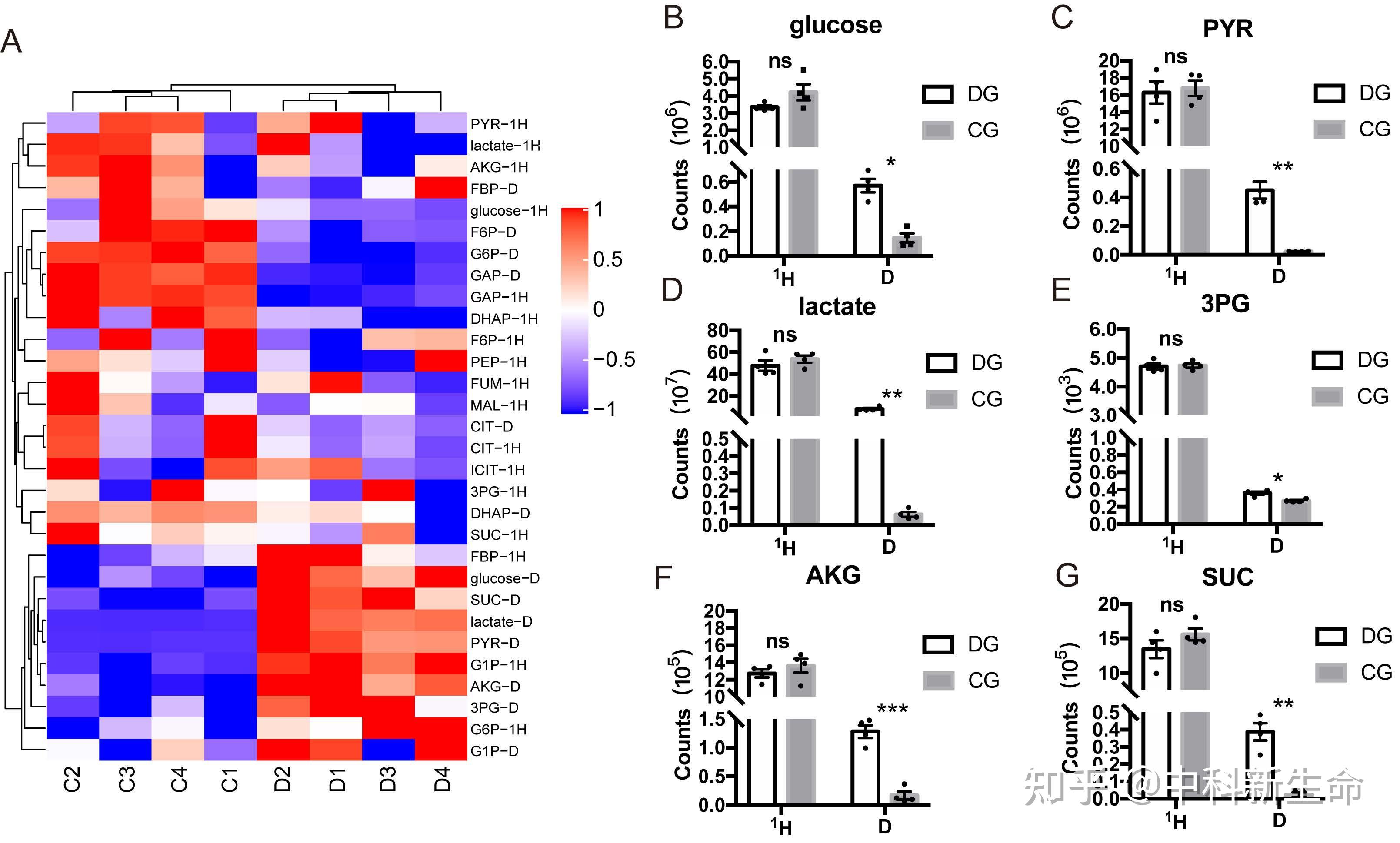 项目文章RB（IF 10.787） | 上海交通大学医学院附属新华医院杨军教授团队利用代谢流技术揭示老年性耳聋新机制 - 知乎