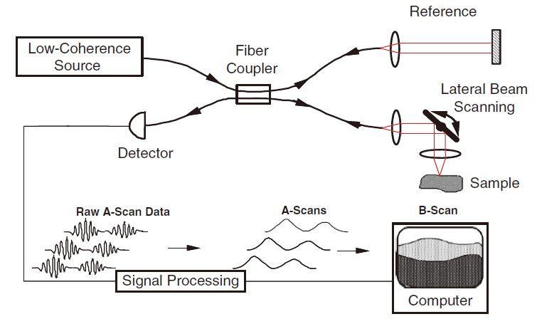 光学相干层析成像OCT的介绍与模拟（附Python和Matlab代码） - 知乎
