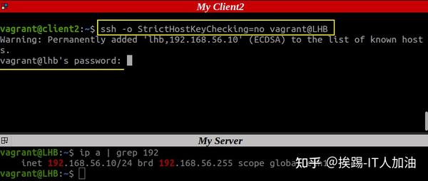 关于 Linux 中 known_hosts 文件的必知必会 - 知乎