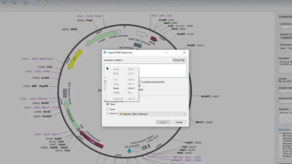 SnapGene 初学者指南 | 如何创建、打开、导入文件 - 知乎