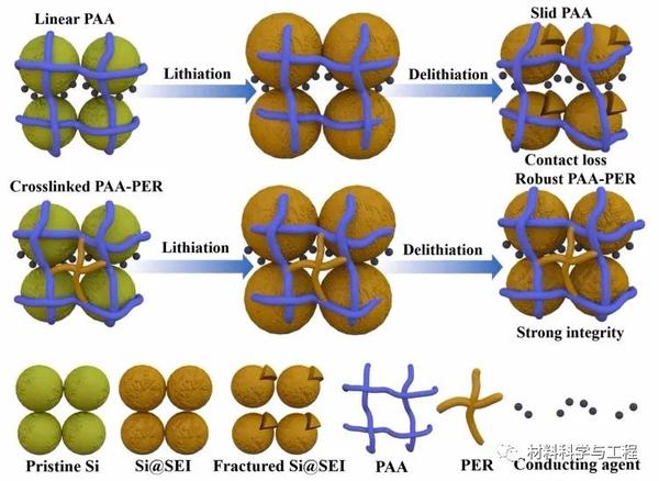 《Electrochimica Acta》：粘结剂增强硅负极的电化学性能！ - 知乎