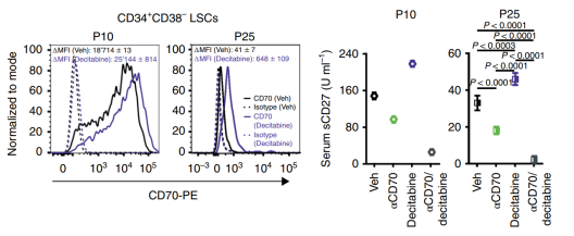 骆驼科IgG1抗体 αCD70 Cusatuzumab介绍 - 知乎