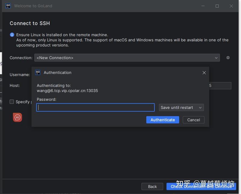 GoLand远程开发IDE：使用SSH远程连接服务器进行云端编程 - 知乎