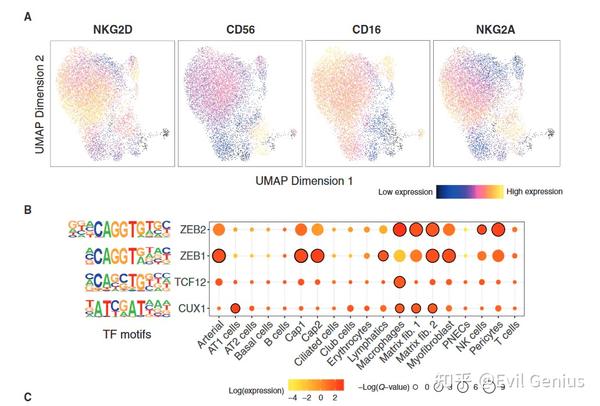 单细胞多组学（RNA + ATAC）联合分析的智慧 - 知乎