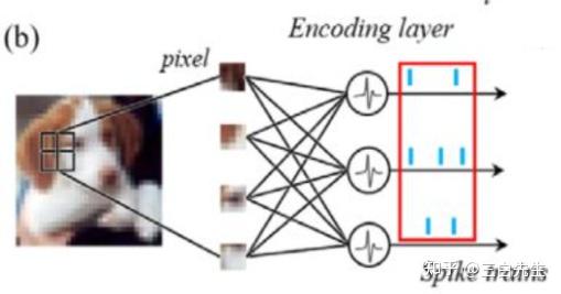 浅浅浅谈SNN - 知乎