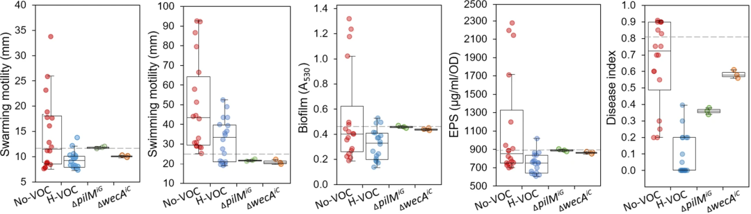 ISME | 南农沈其荣团队研究揭示土壤细菌挥发物通过进化权衡减弱植物病原菌毒力！ - 知乎