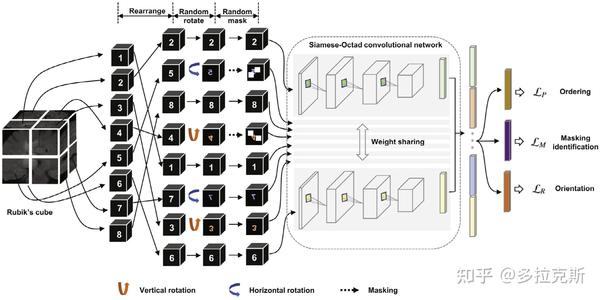 30篇经典论文学习 Self-Supervised Learning - 知乎