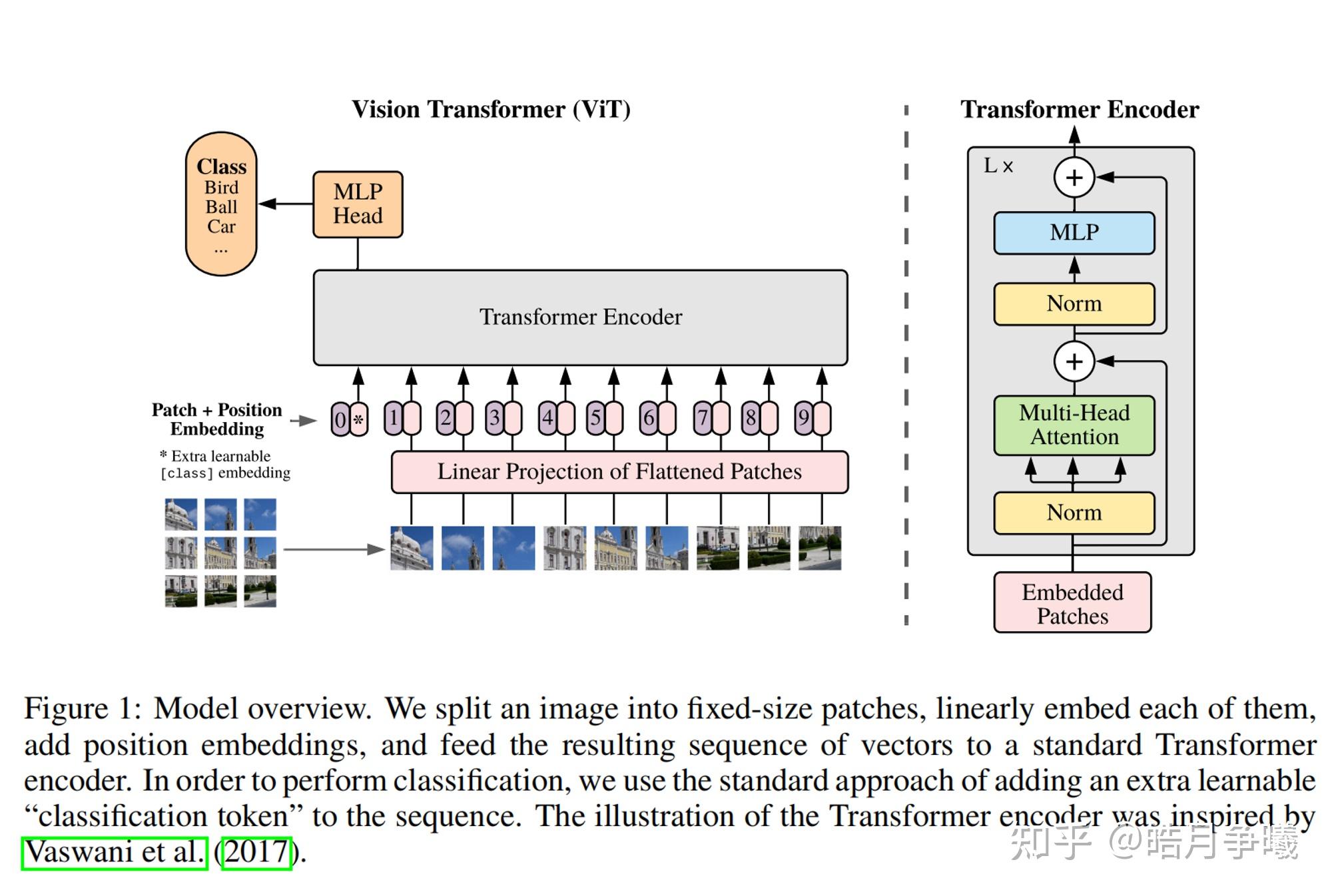 ViT模型计算流程图解 - 知乎