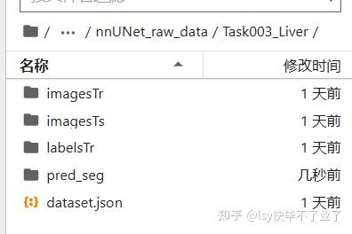 nnunet训练LiTS数据集 - 知乎