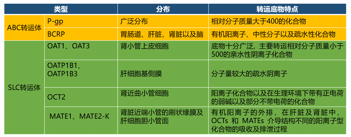国内首家！IPHASE/汇智和源MATE2K转运体细胞研发成功！ - 知乎
