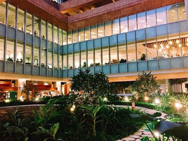 在香港大学（HKU）就读是一种怎样的体验？ - 知乎