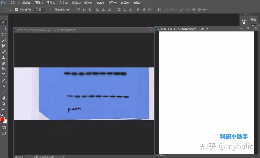 WB图片处理-教你利用Photoshop做出符合杂志要求的WB图片！ - 知乎