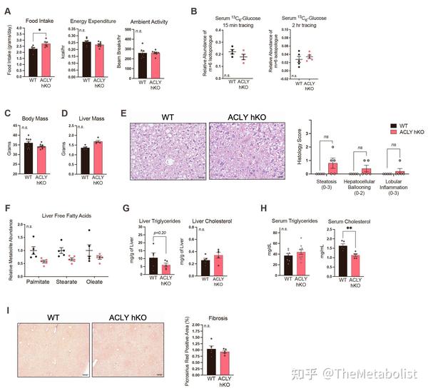代谢学人--Cell Metabolism：NASH刺客 -- ATP柠檬酸裂解酶 - 知乎